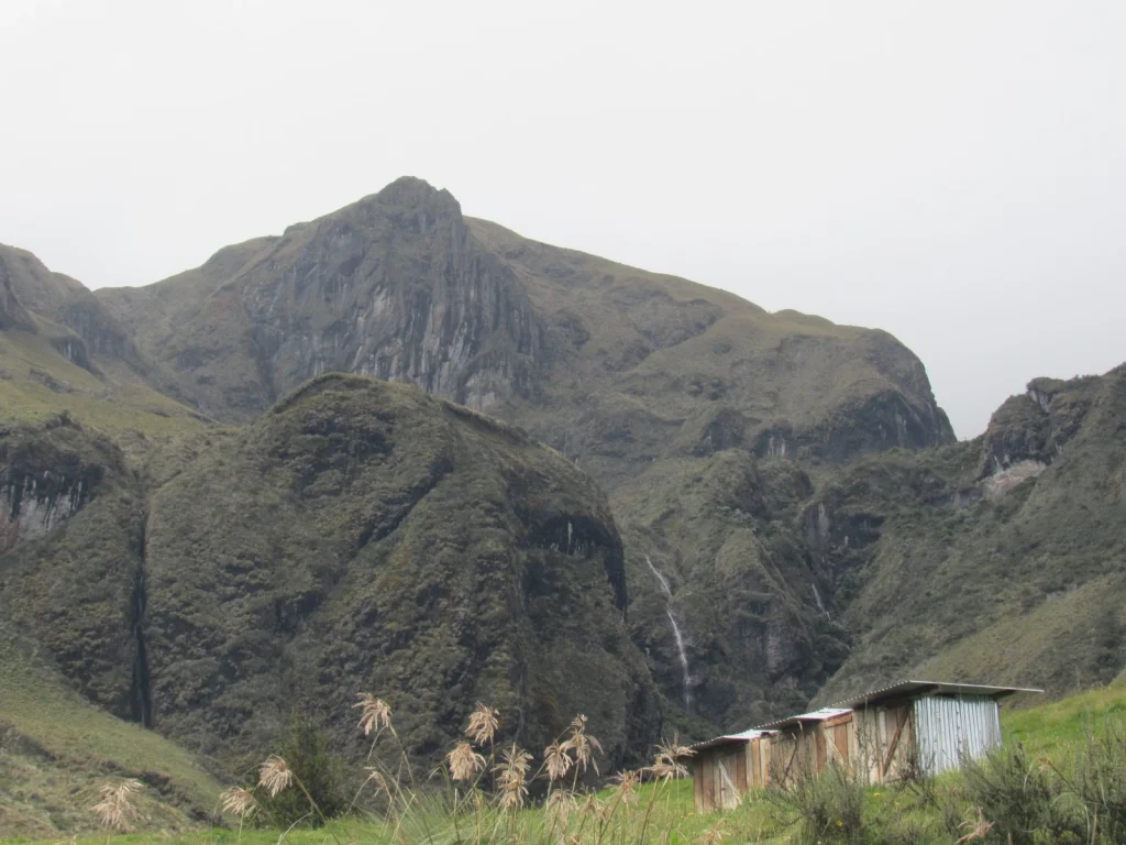 Restaurante Los Saskines en Atillo ofrece trucha frita - Diario La ...